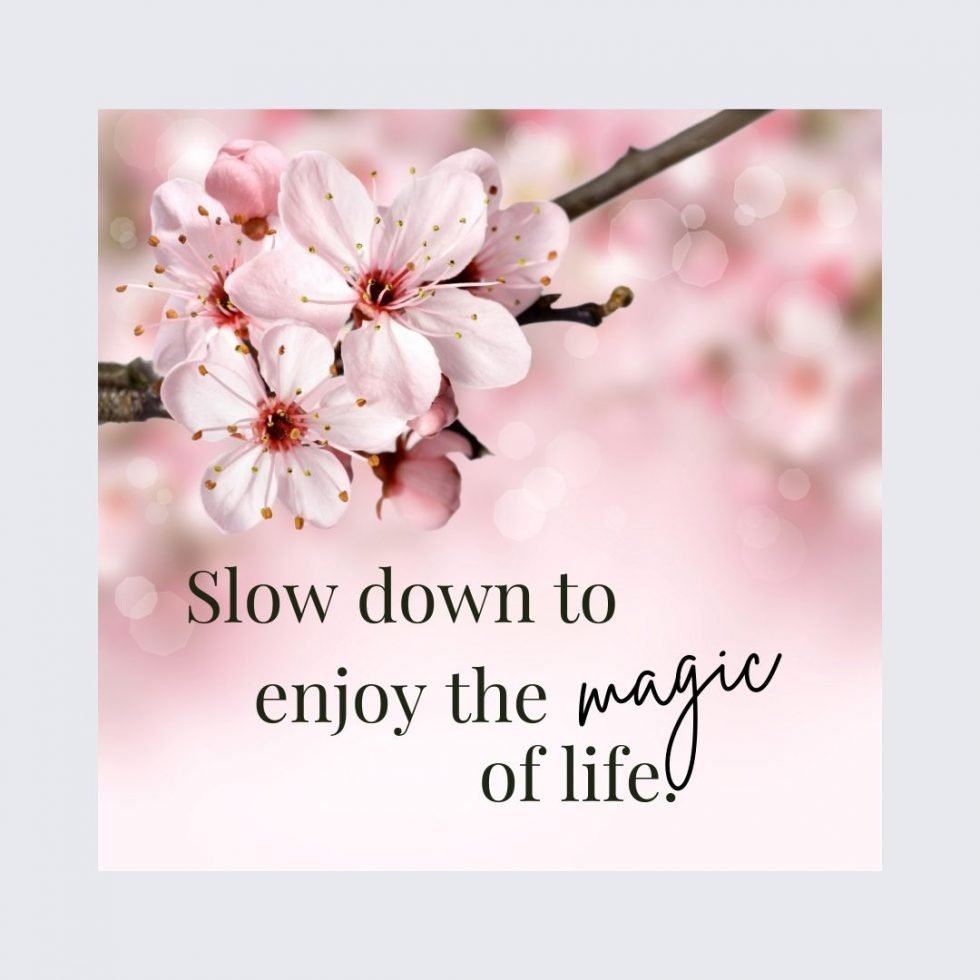 Shop - Tarot Flower